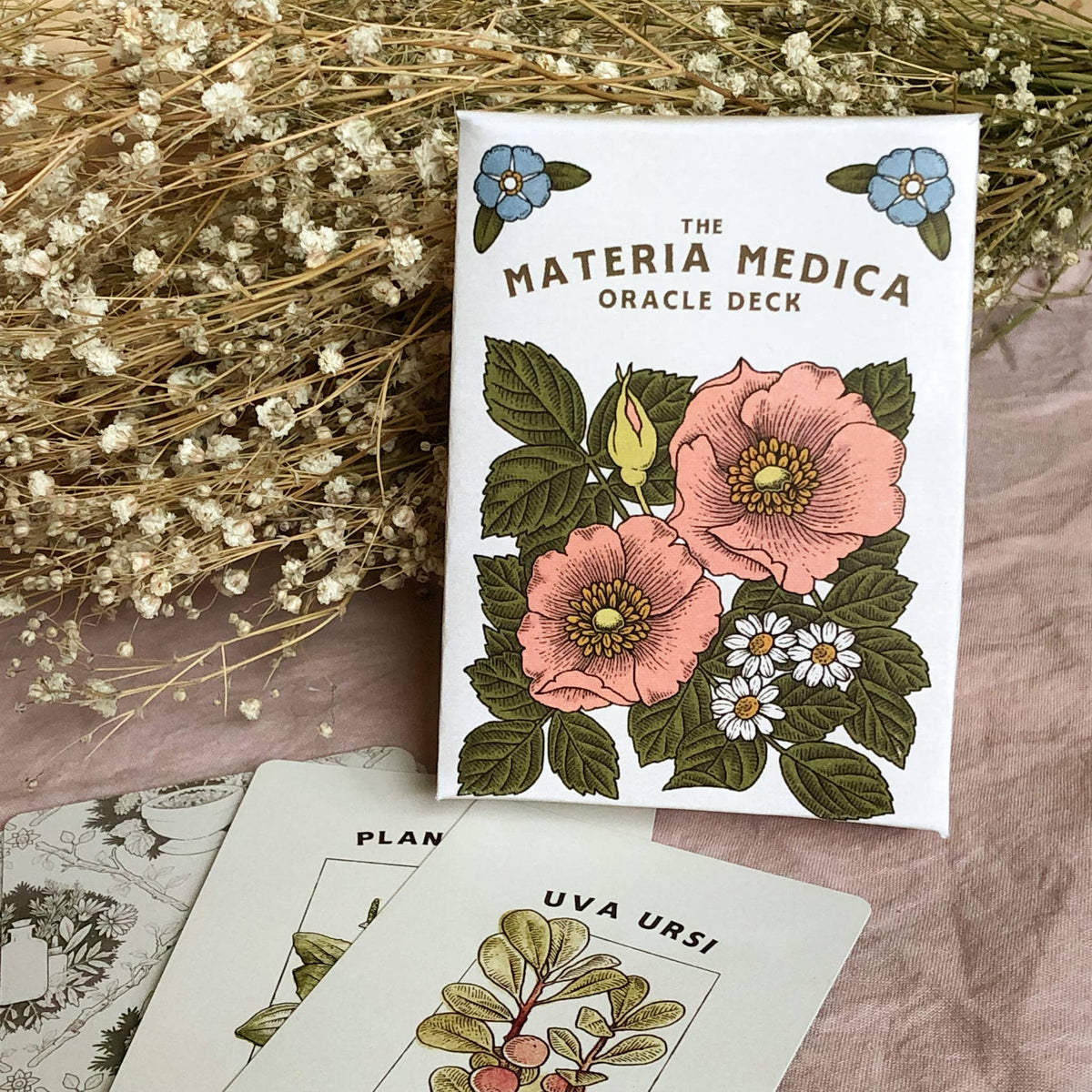 Tenderheart Studio - Materia Medica Oracle Deck – CONRADO®